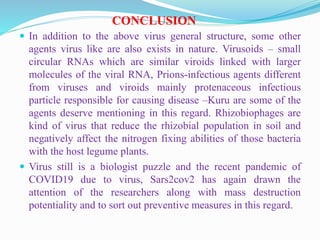 Virus-Morphology, General structures and classification | PPT