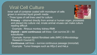 Virology 2024 | Microbes with Morgan 2024 | PPTX