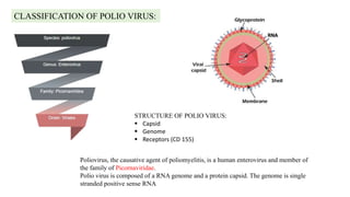 Molecular Epidemiology of Polio virus | PPT