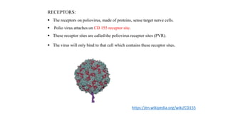 Molecular Epidemiology of Polio virus | PPTX