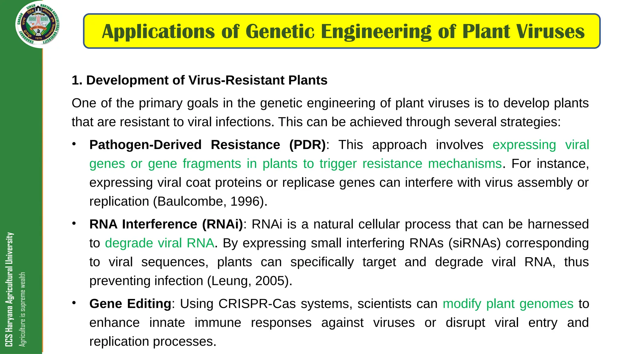 VIROLOGY assignment Keshav (2023A78M).pptx | Free Download