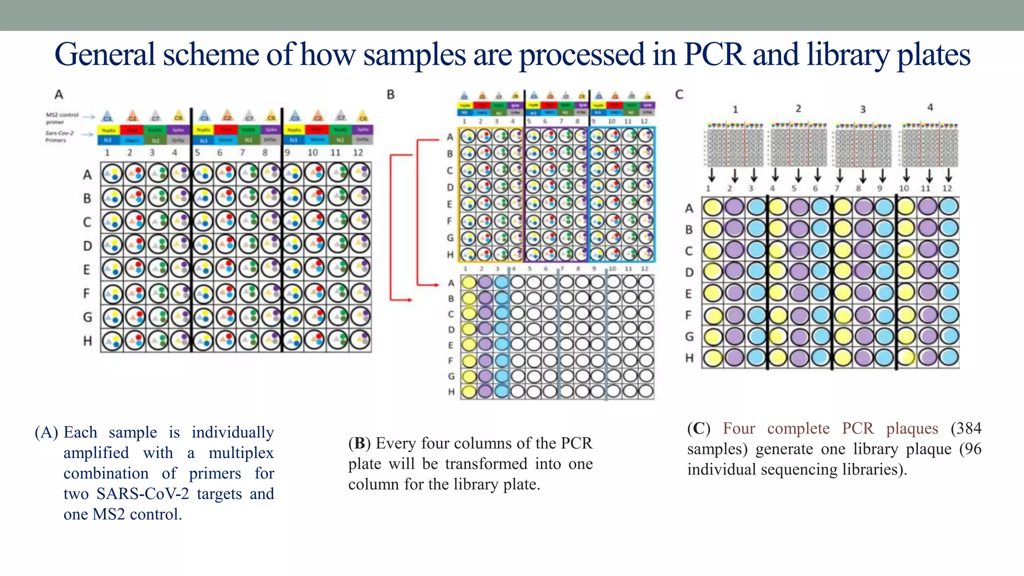 Next Generation Sequencing- NGS for COVID19 PPT | PPTX