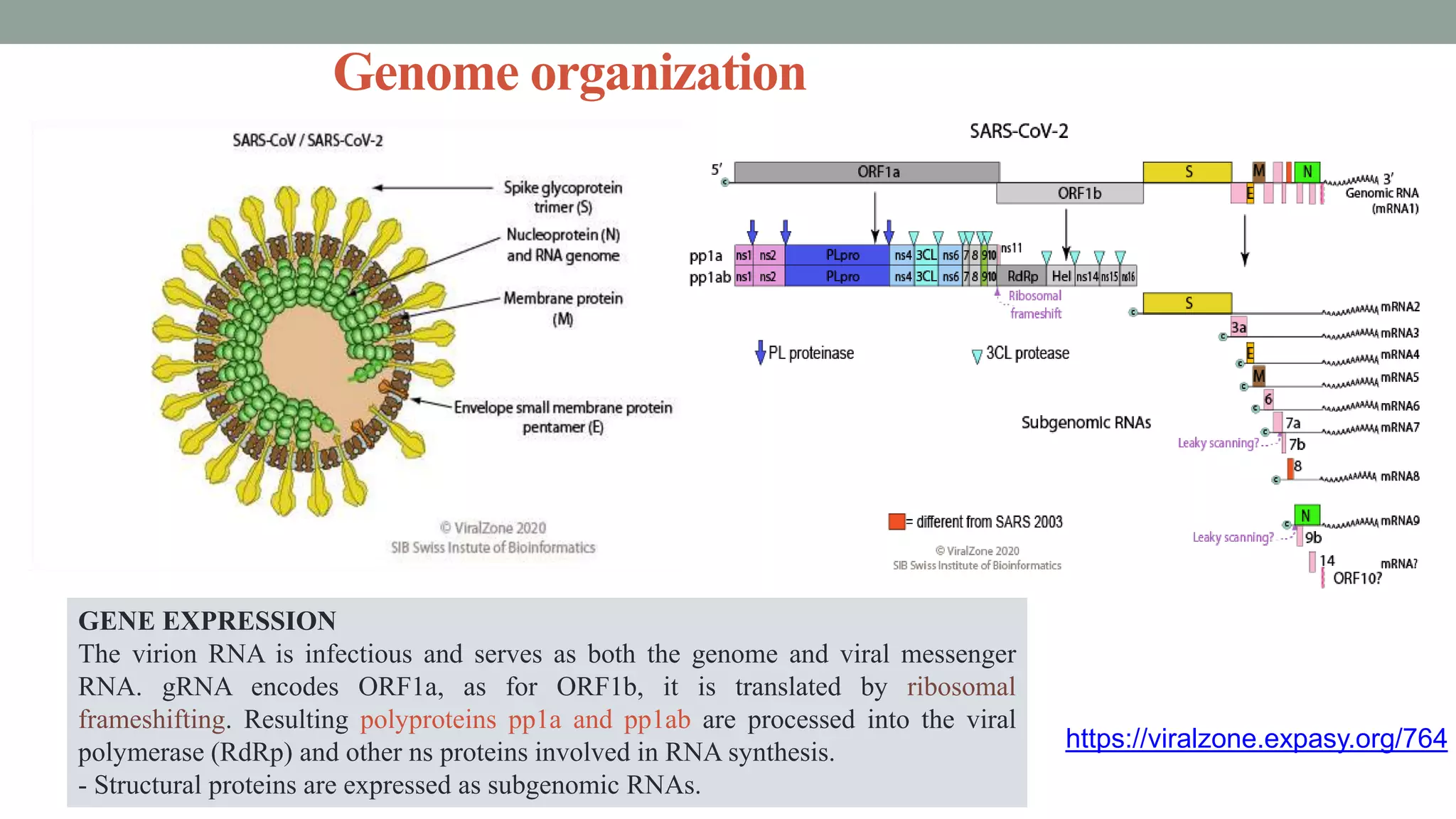 Next Generation Sequencing- NGS for COVID19 PPT | PPTX