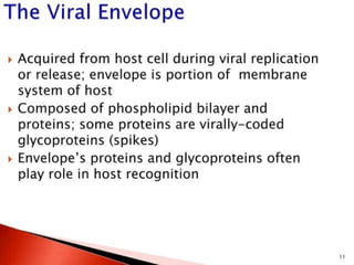 General Virology, classification , replication , pathogenesis and all ...