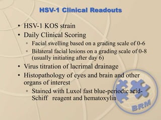 BRM Virology, Viral Immunology and Pathology | PPT