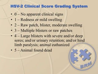 BRM Virology, Viral Immunology and Pathology | PPT