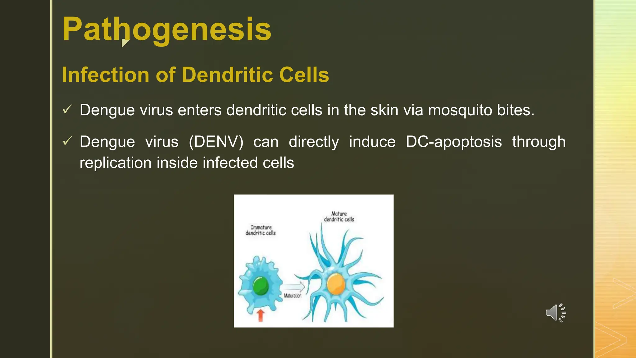 Virology Dengue - Dengue Virus in Detail | PPSX