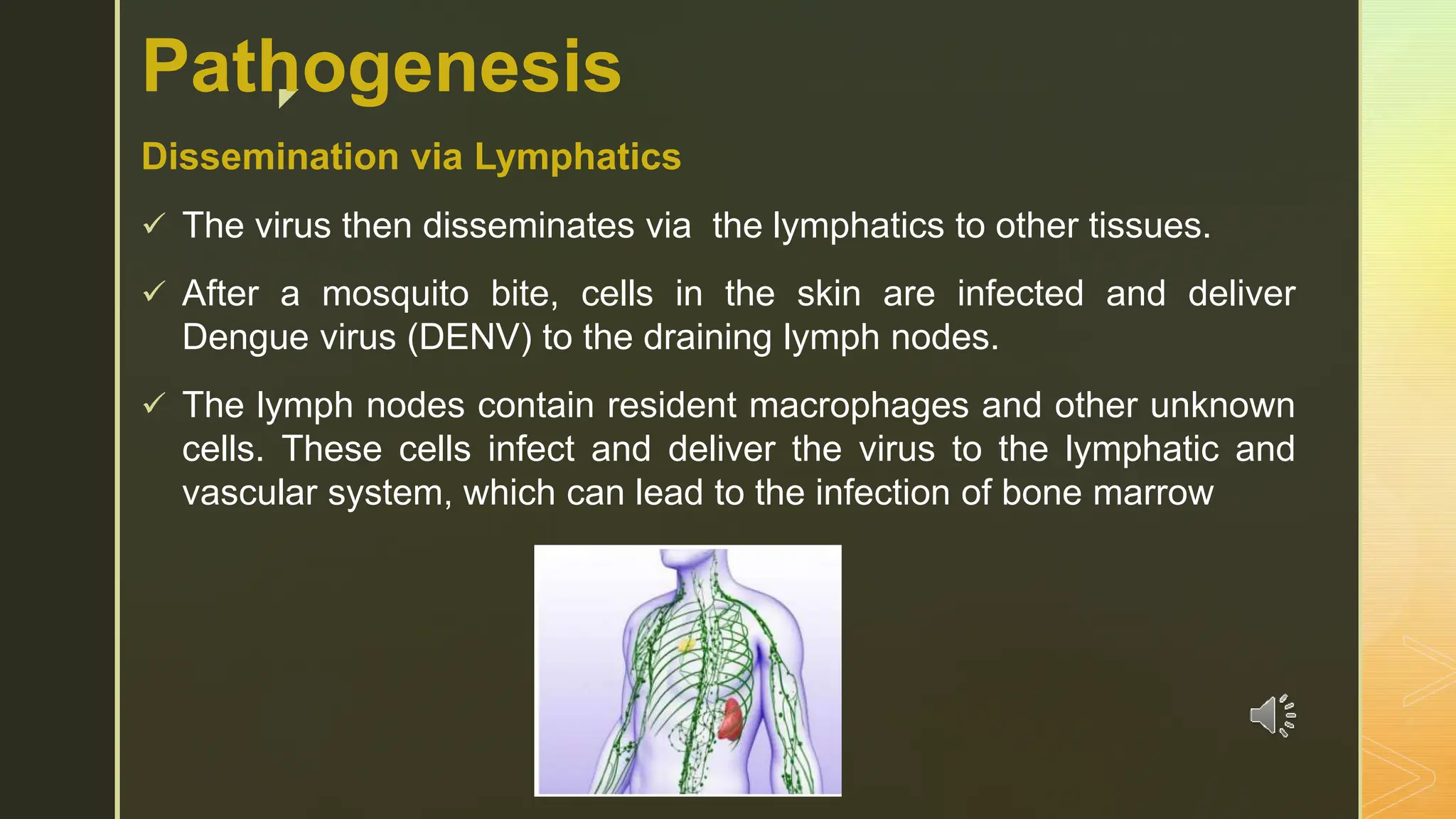 Virology Dengue - Dengue Virus in Detail | PPSX