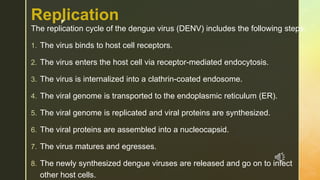 Virology Dengue - Dengue Virus in Detail | PPT
