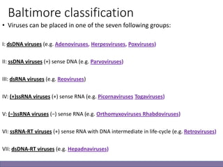 Introduction to Virology | PDF