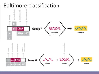 Introduction to Virology | PDF