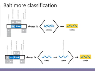 Introduction to Virology | PDF