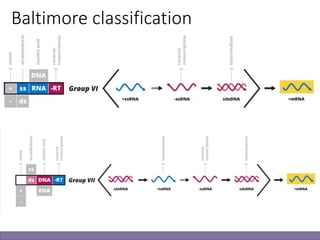 Introduction to Virology | PDF