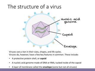 Introduction to Virology | PDF