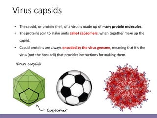 Introduction to Virology | PDF