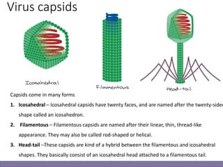 Introduction to Virology | PDF