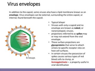 Introduction to Virology | PDF