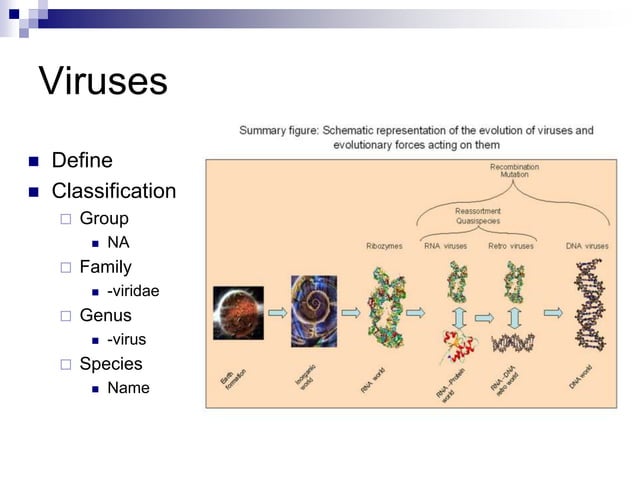Virology introduction | PPT