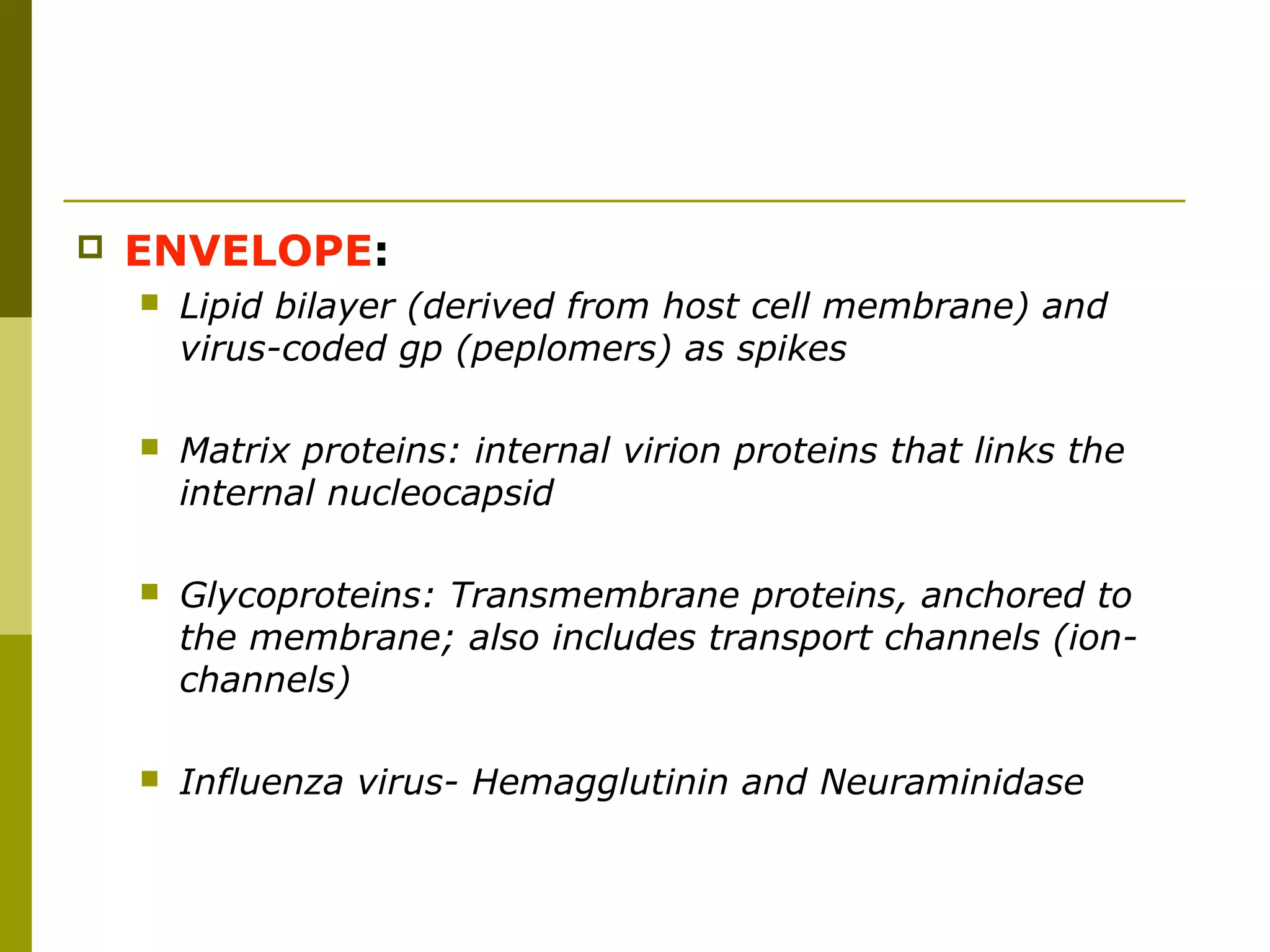 Virology introduction mbbs | PPT
