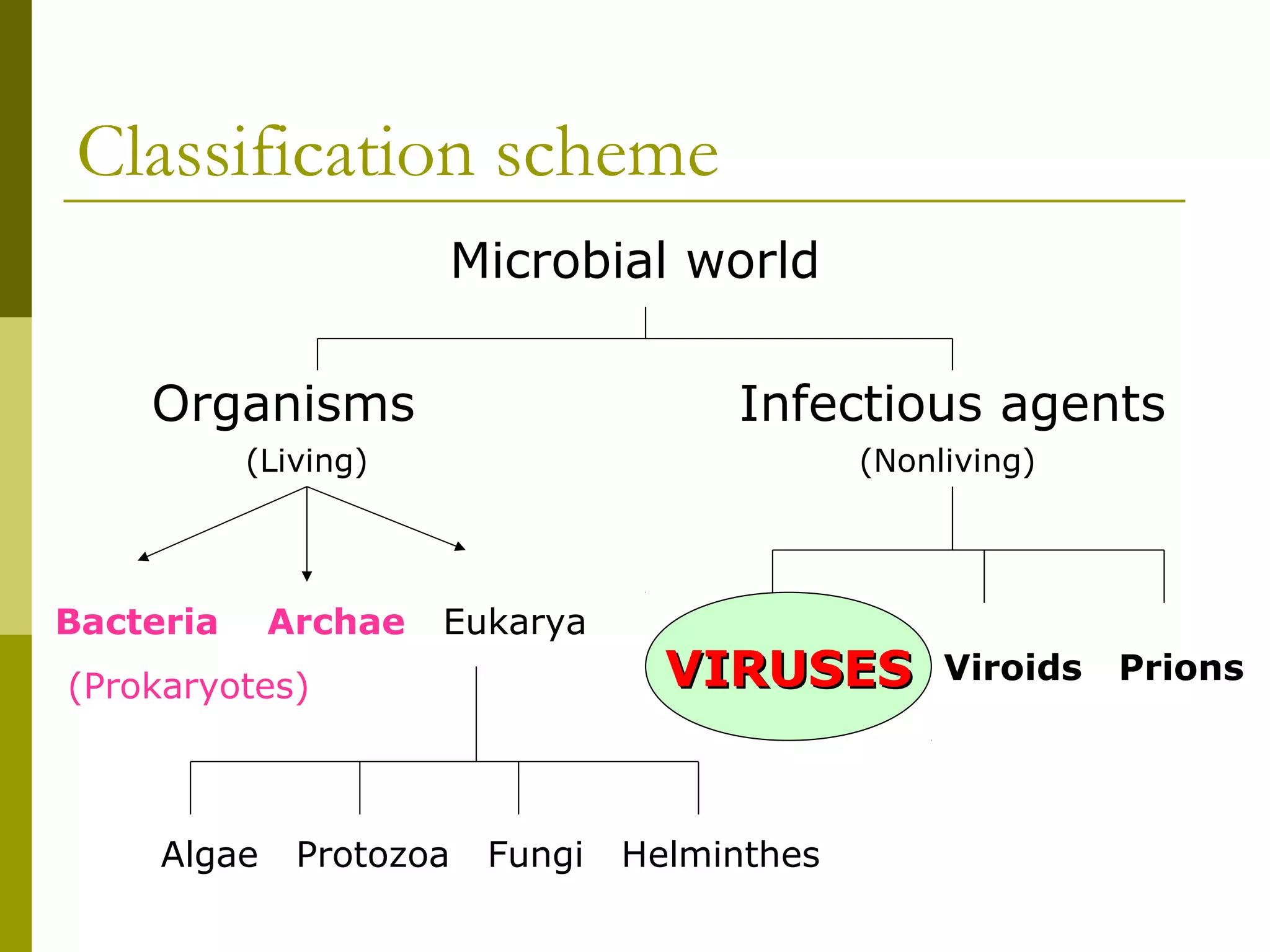 Virology introduction mbbs | PPT