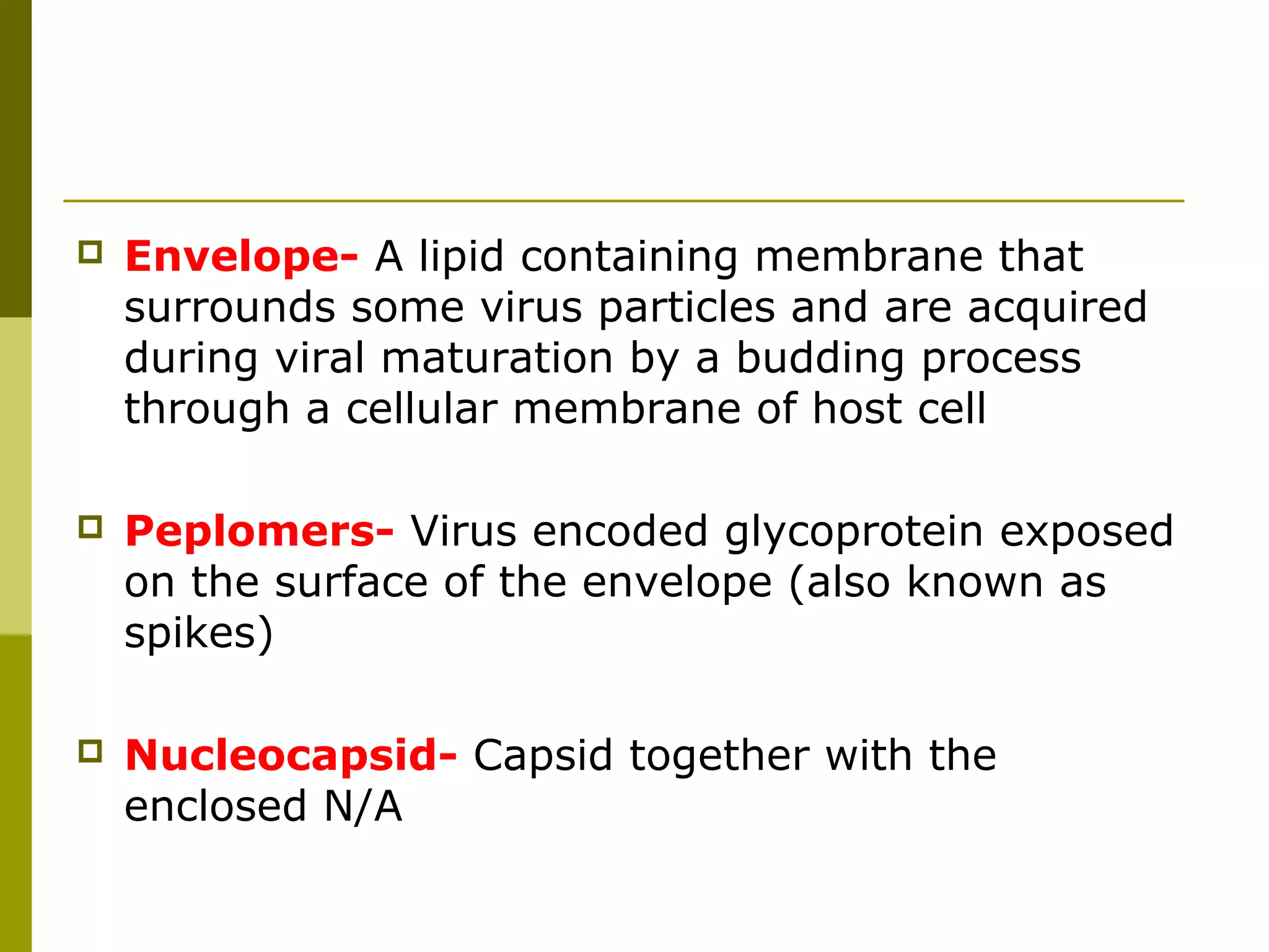 Virology introduction mbbs | PPT