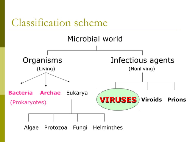 Virology introduction mbbs | PPT | Chemistry | Science