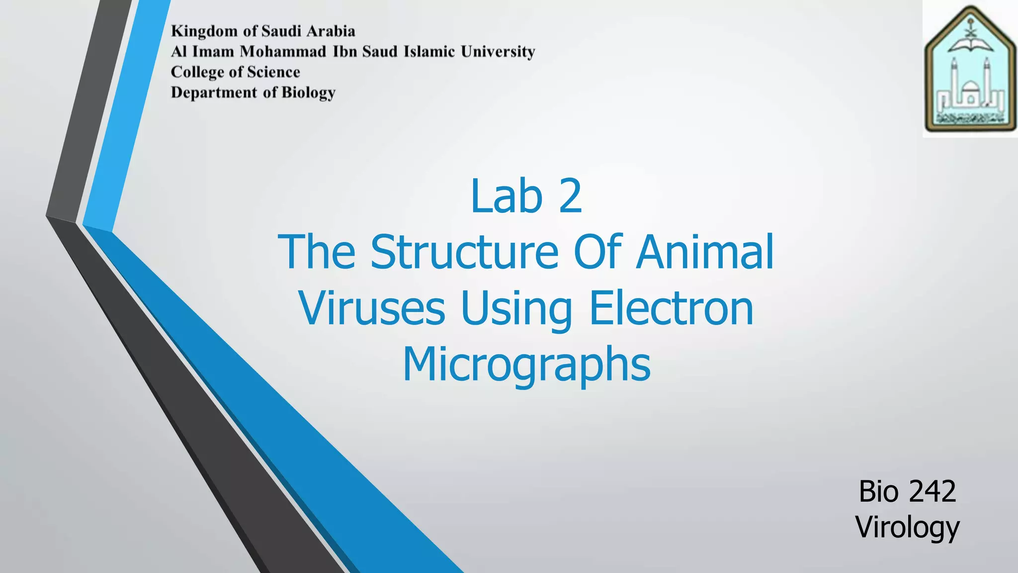 Structure of Animal Viruses | PPTX