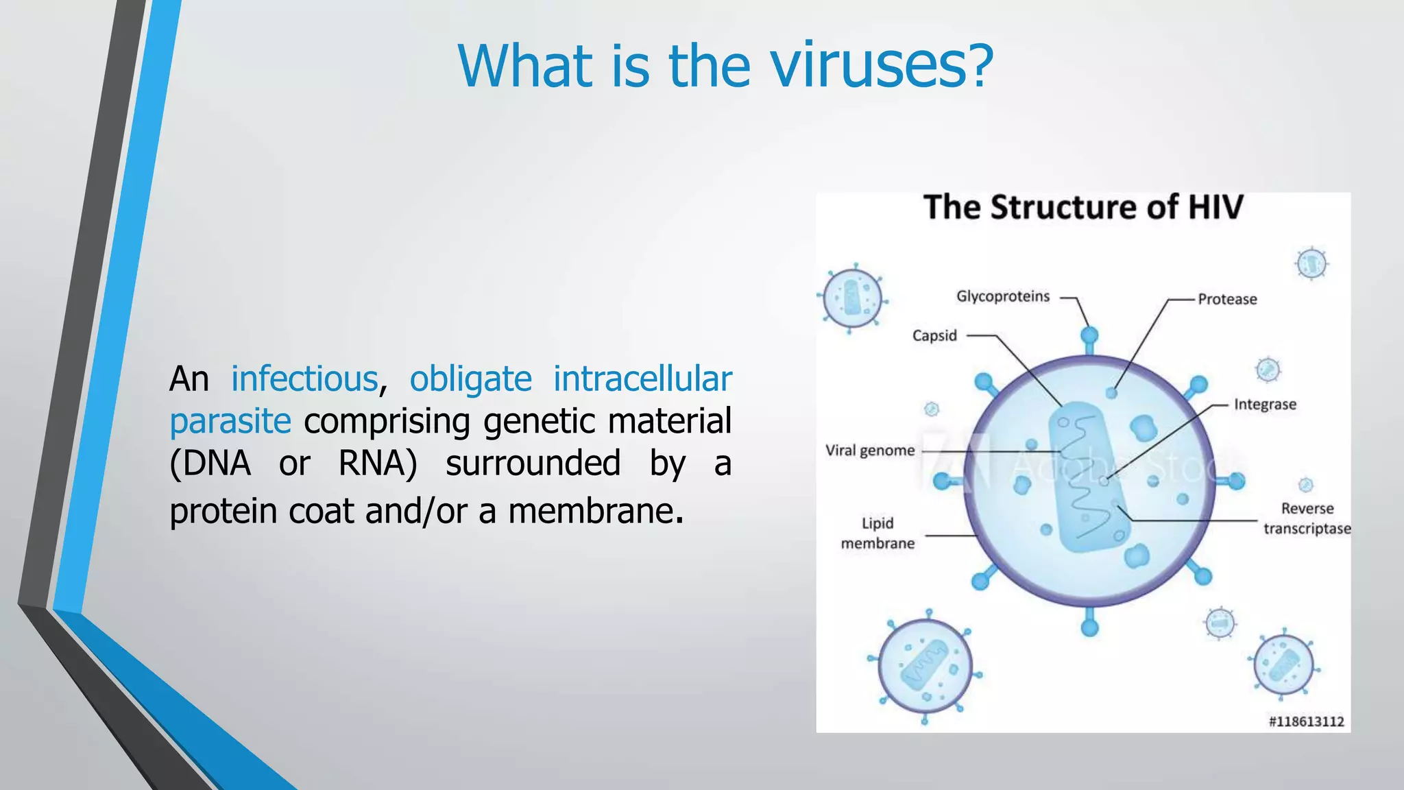 Structure of Animal Viruses | PPTX