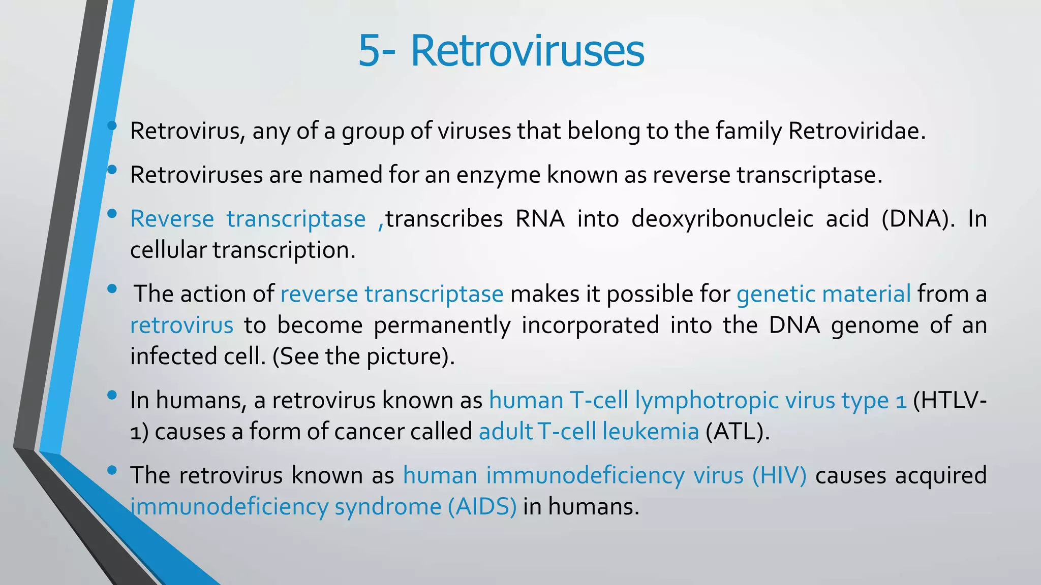 Structure of Animal Viruses | PPTX