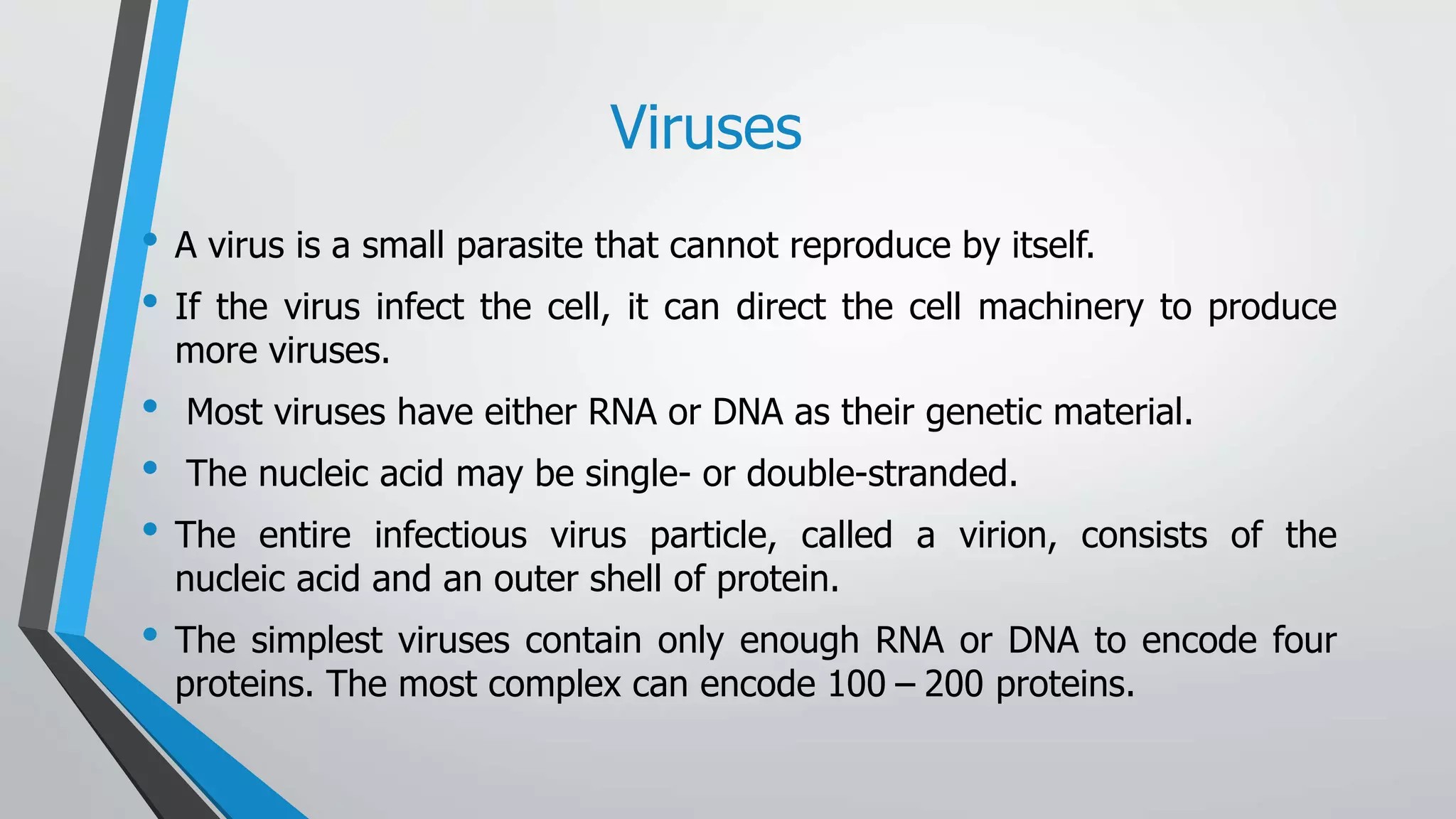 Structure of Animal Viruses | PPTX | Biological Sciences | Science