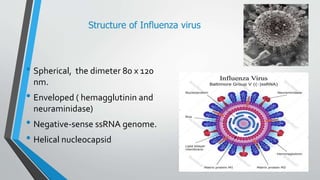 Structure of Animal Viruses | PPTX