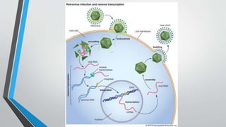 Structure of Animal Viruses | PPTX