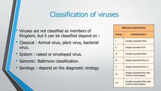 Structure of Animal Viruses | PPTX