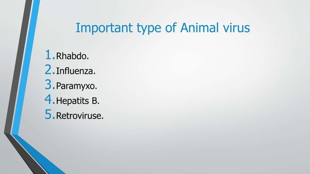 Structure of Animal Viruses | PPTX | Biological Sciences | Science