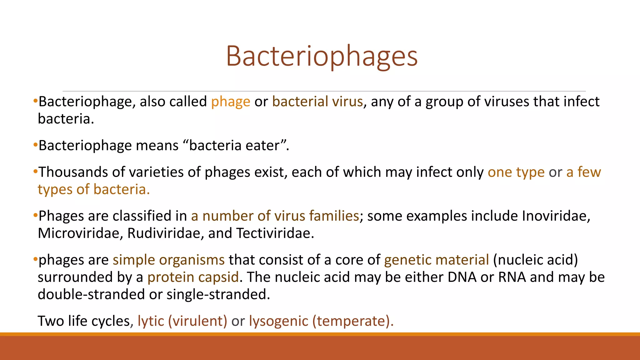 Structure of Bacterial Viruses | PPTX