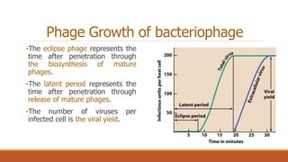 Isolation of Bacteriophage | PPTX