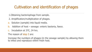 Isolation of Bacteriophage | PPTX