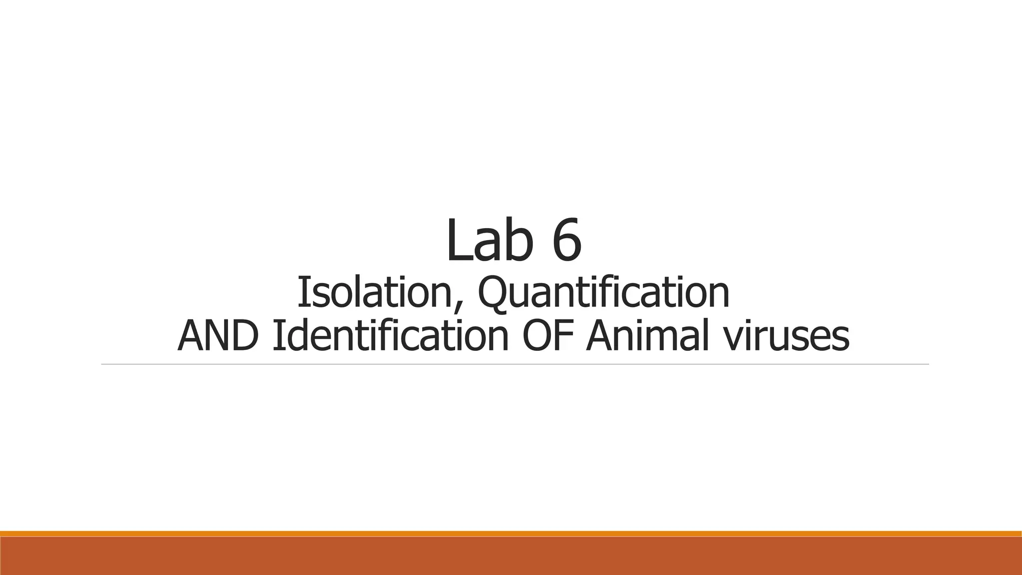 Isolation of Animal Viruses | PPTX