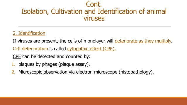 Isolation of Animal Viruses | PPTX