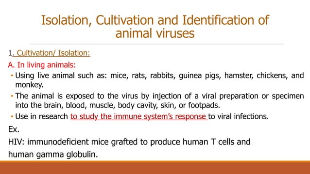 Isolation of Animal Viruses | PPTX