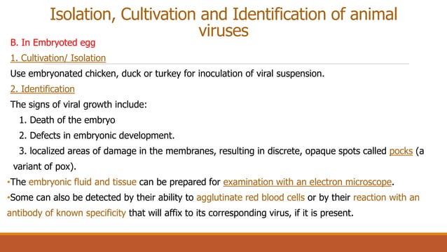 Isolation of Animal Viruses | PPTX