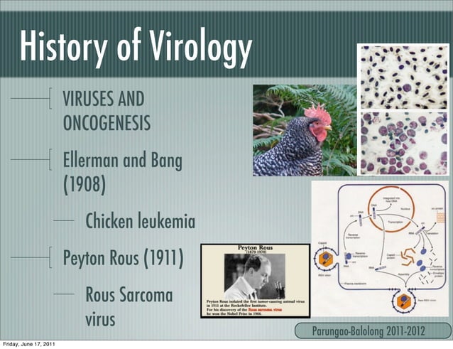 Virology lecture 1 introduction | PDF