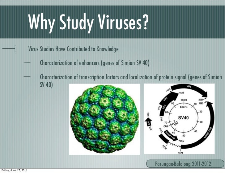 Virology lecture 1 introduction Virology lecture 1 introduction