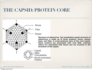 Virology lecture 2 (viral structure) | PDF