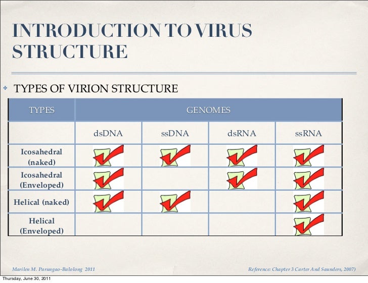 Virology lecture 2 (viral structure)