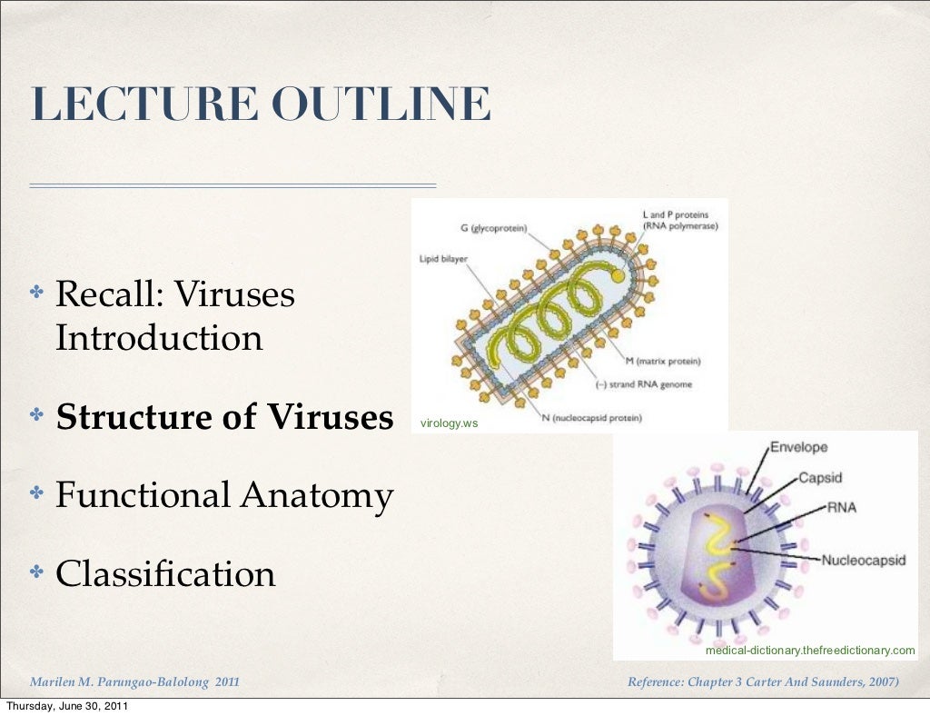 Virology lecture 2 (viral structure)