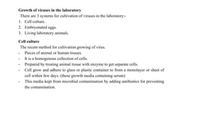 virology level 3 taiz lecture university 1 .pptx