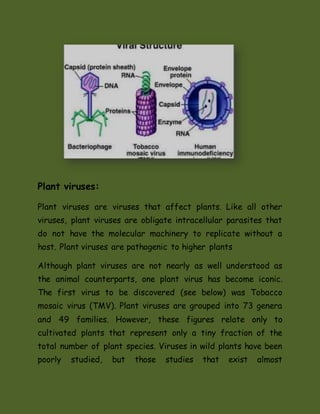 Nature of Plants and Animal Viruses. | DOCX