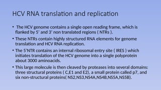 Virology of HCV (Dr.Wint Shwe Yee Htet.pptx