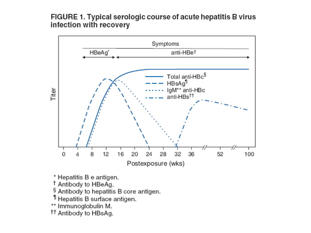 Virology of hepatitis | PPTX